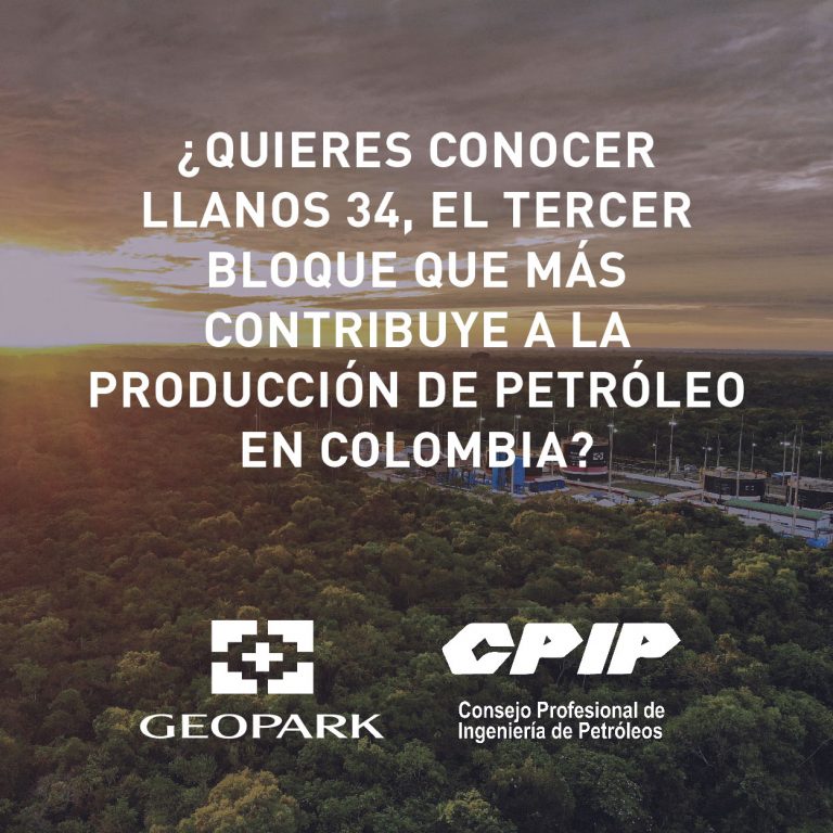 CPIP - Consejo Profesional de Ingeniería de Petróleos